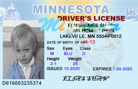 Free drivers license template - aswords