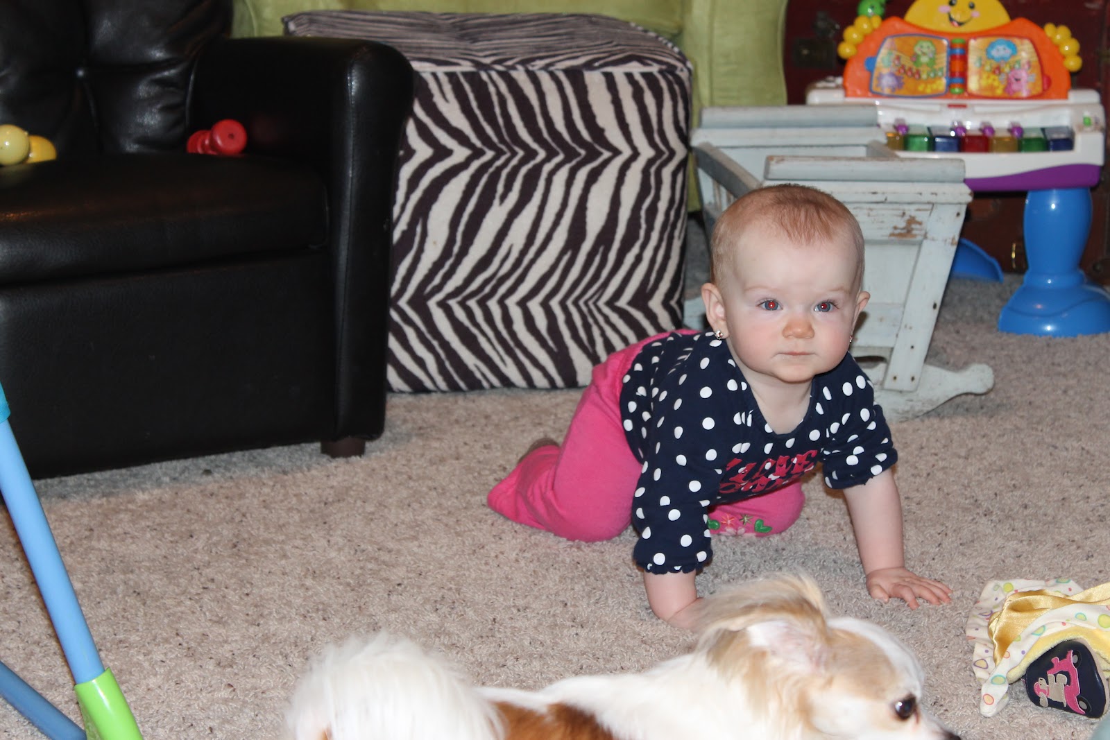 Janie Fox talks: April 2012