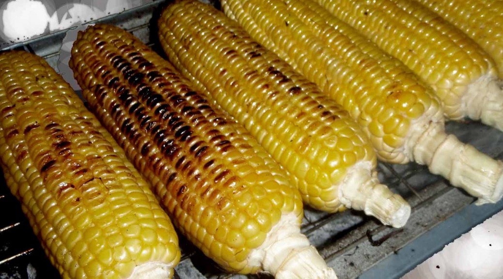 Honey Sweet Corn: PELUANG MENJANA PENDAPATAN JAGUNG MADU MANIS AWESOME