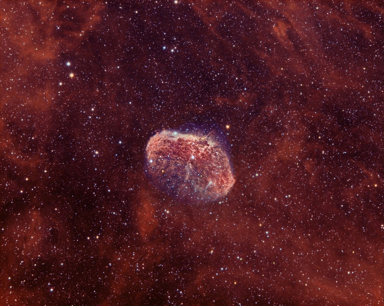 Halling Skies: The Crescent Nebula - NGC 6888