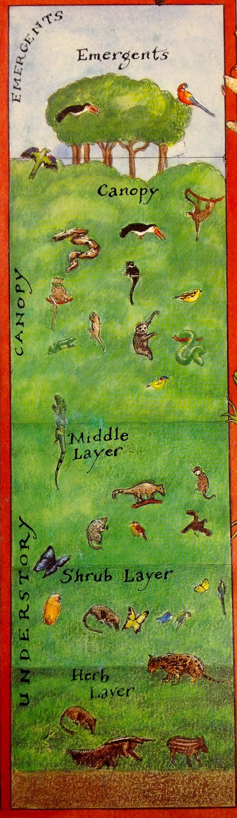 Ms. Tulbure's Classroom Blog