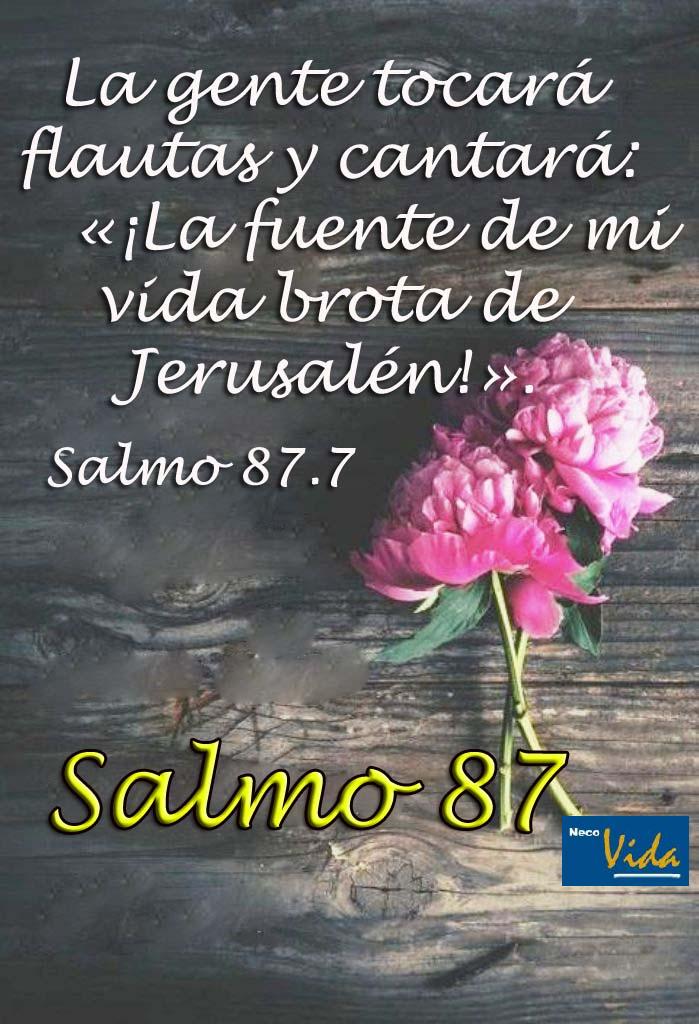 Neco Vida: Leyendo... Salmo 87