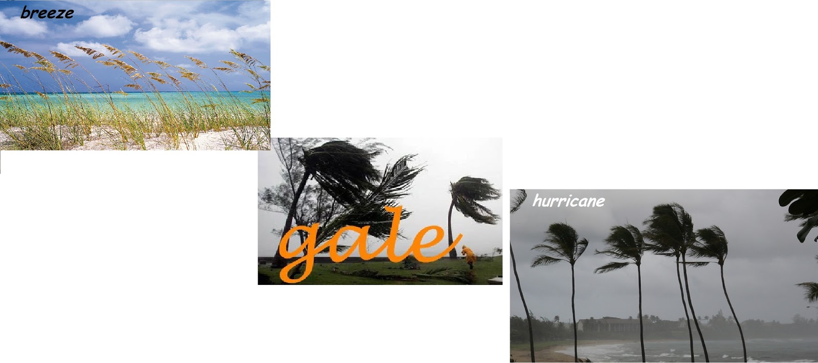 Seneca School - Year 1-2 - Science / English: SS - WINDS & PRECIPITATION