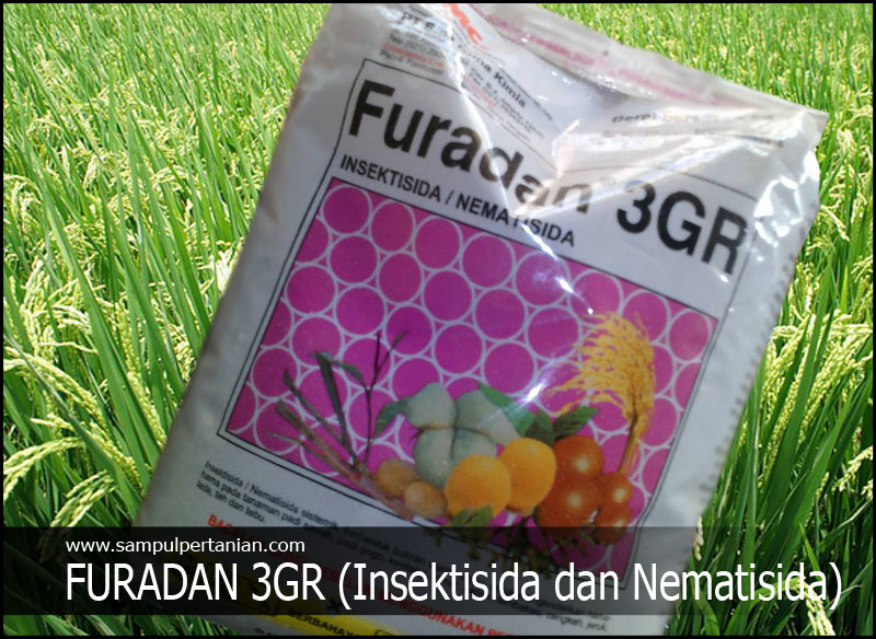 Furadan 3Gr (Insektisida Dan Nematisida)
