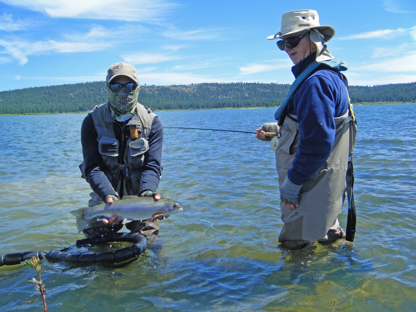 Jon Baiocchi Fly Fishing News: Lake Davis Fishing Report 6/21/2016