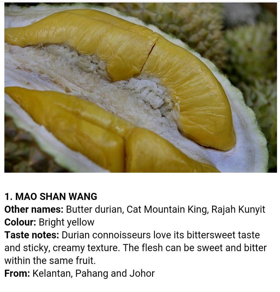 Durian Info: D197 - Musang King Durian or Mao Shan Wang