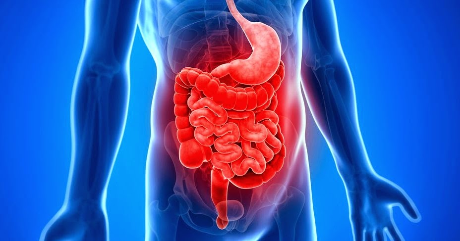 ¿QUÉ ES LA COLITIS? | PREGUNTAS Y RESPUESTAS