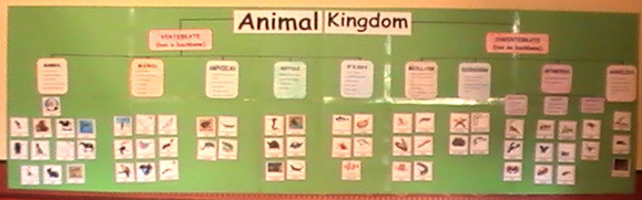 Iman's Home-School: Animal Classification Wall Chart