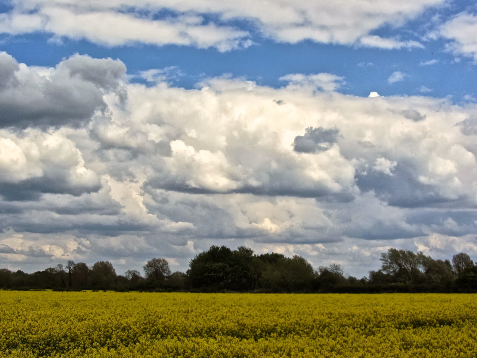 Curiouser and Curiouser: Skyscapes