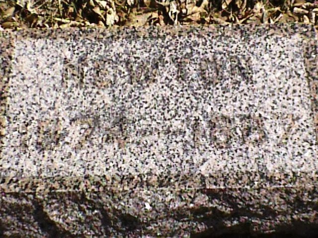 The Old Trunk in the Attic: Tombstone Tuesday - Negley Family Plot
