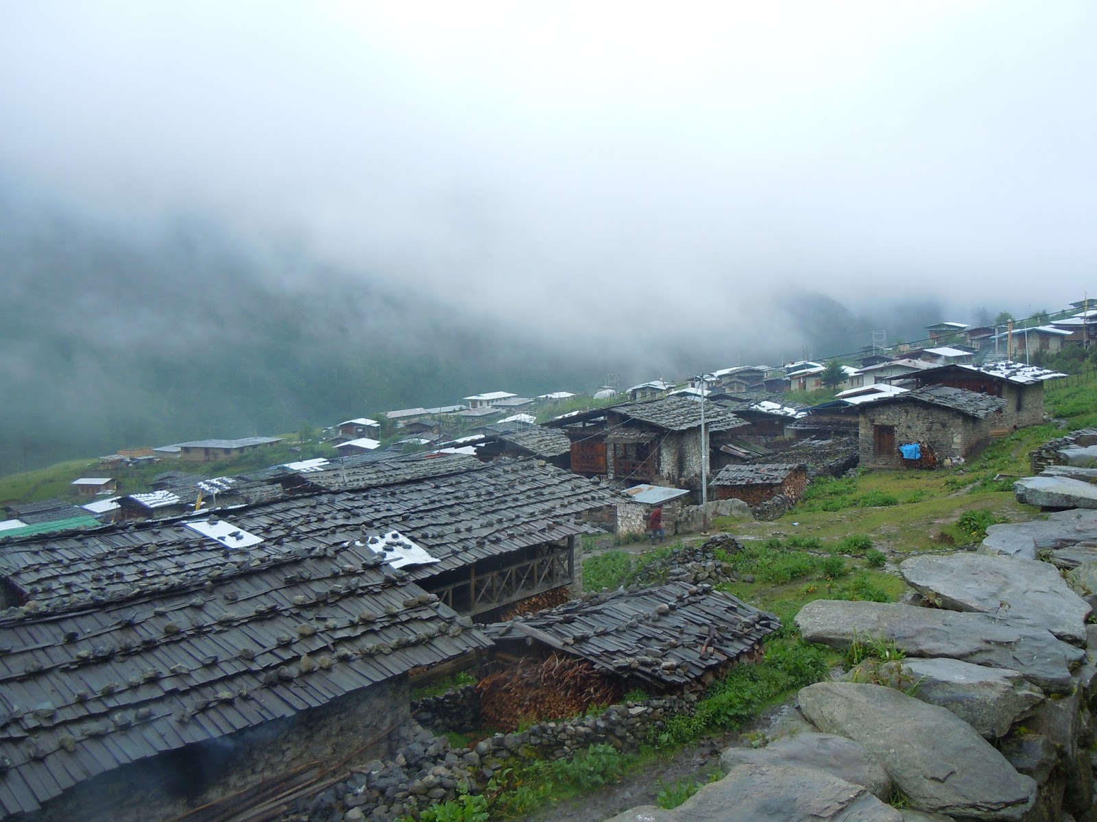 Yankee in Bhutan: What I Did On My Summer Vacation: MERAK