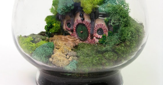 The Fern and Mossery: Bag End Terrarium