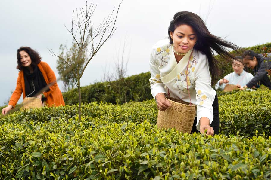 The Holiday and Travel Magazine: Expats get a 'taste' of Chinese tea ...