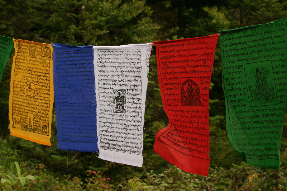 Bhutan 2011: Chele La Pass y Kila Goemba