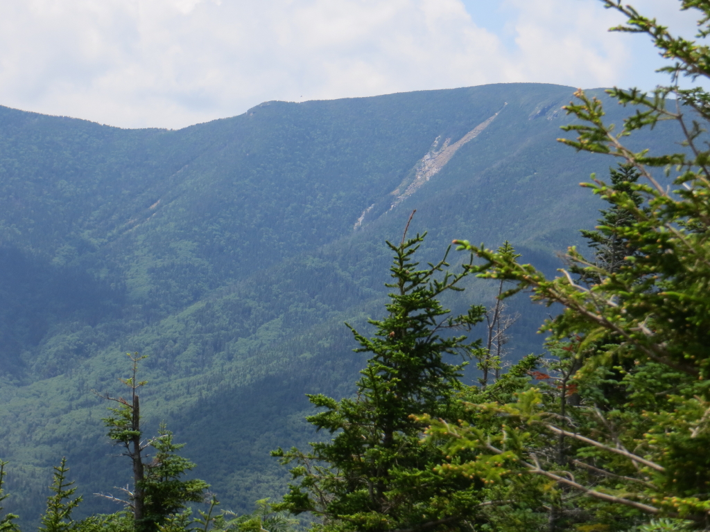 Mountain Wandering: Mount Hale Loop: 7/4/13