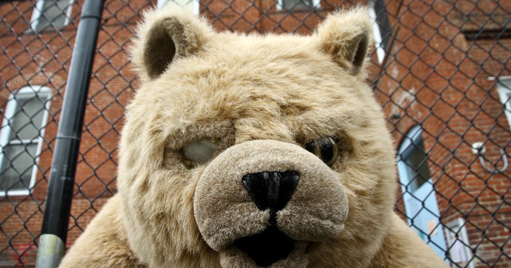 One Photograph a Day: Bear