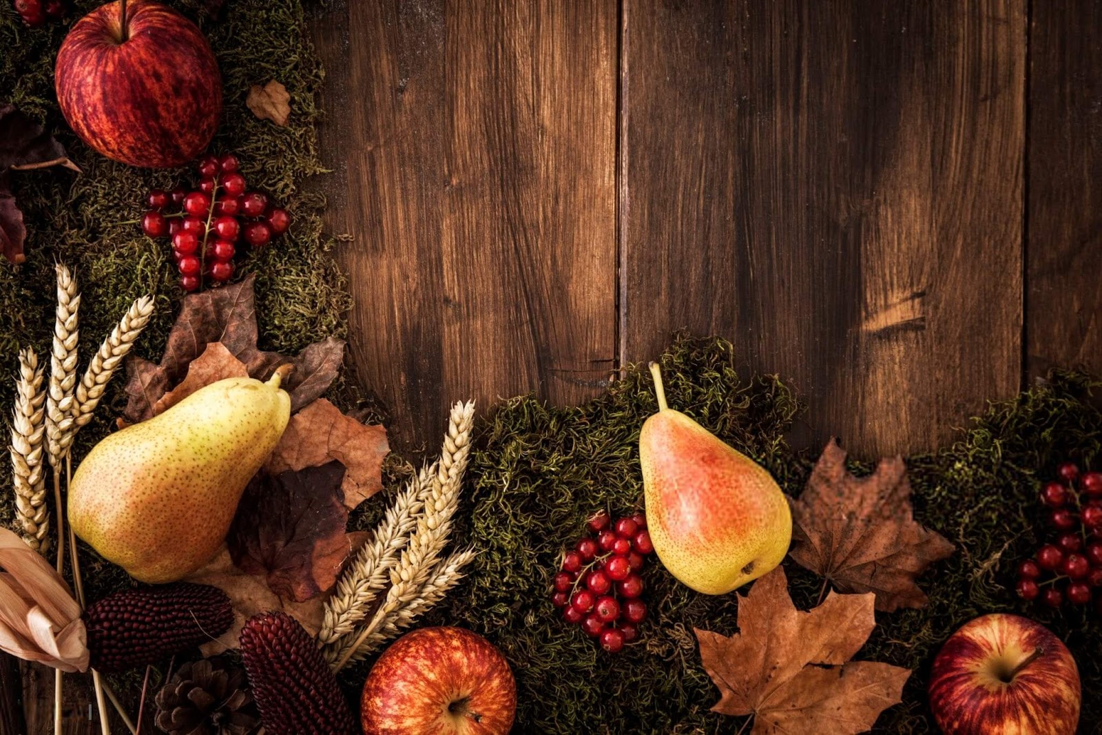 Free Thanksgiving Wallpaper Photos Images Download