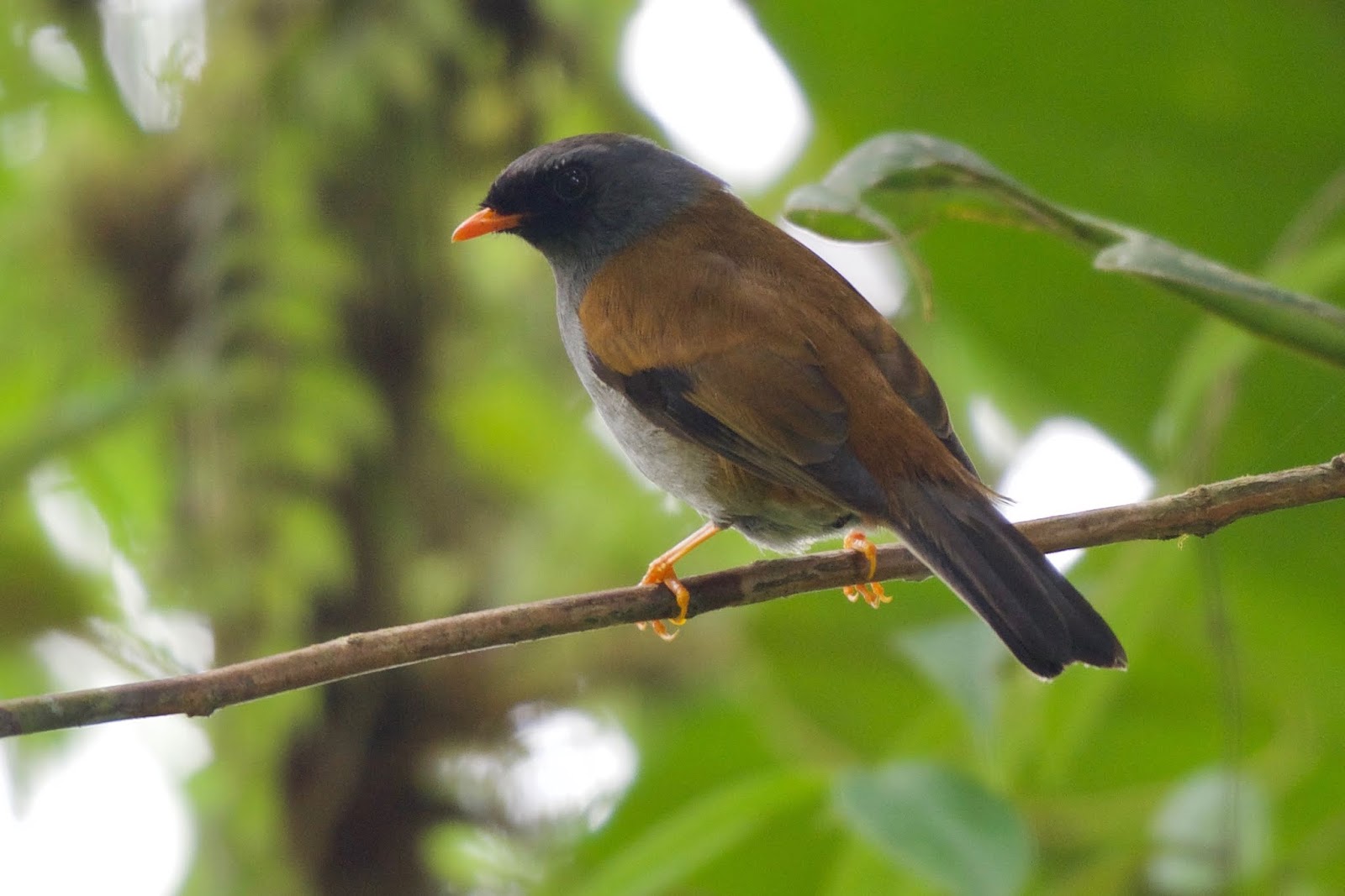 Jan Axel's Blog: April 2019