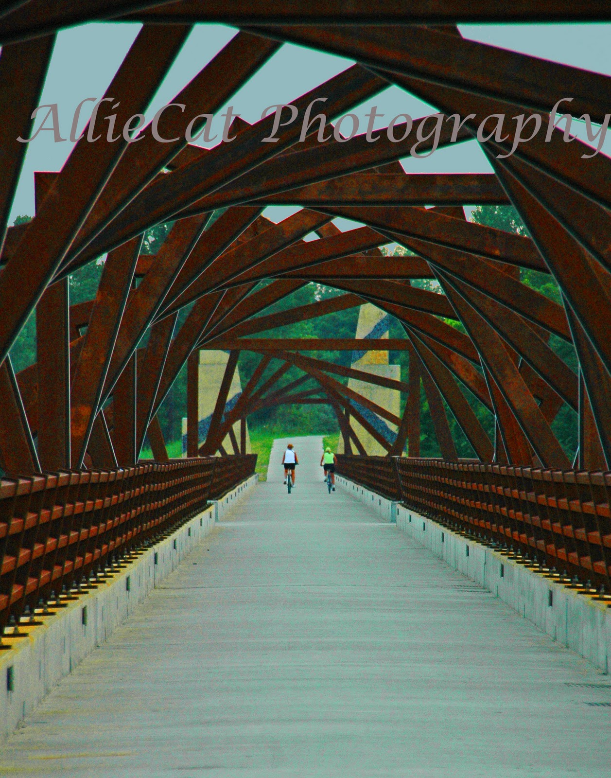 AllieCat Photography: High Trestle Trail Bridge at Night