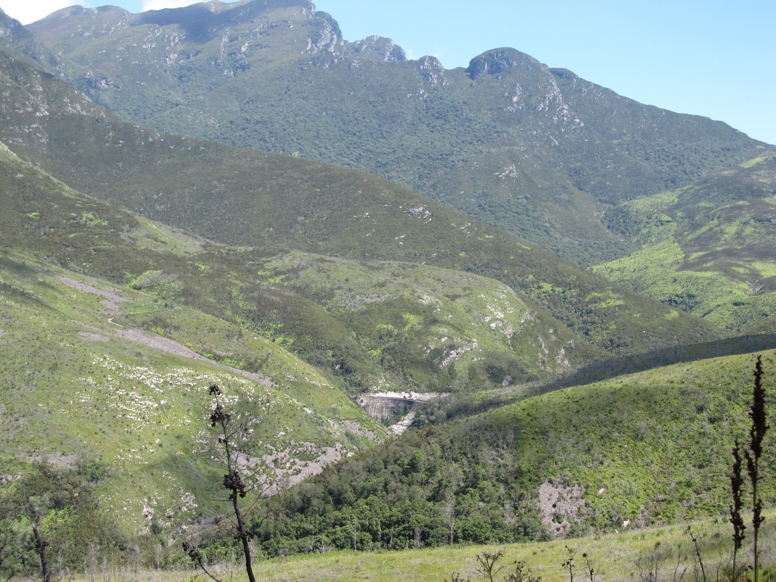 Garden Route Trail Finders: George Dam via Tierkop