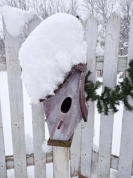 Minnesota Junker: Christmas Crafts
