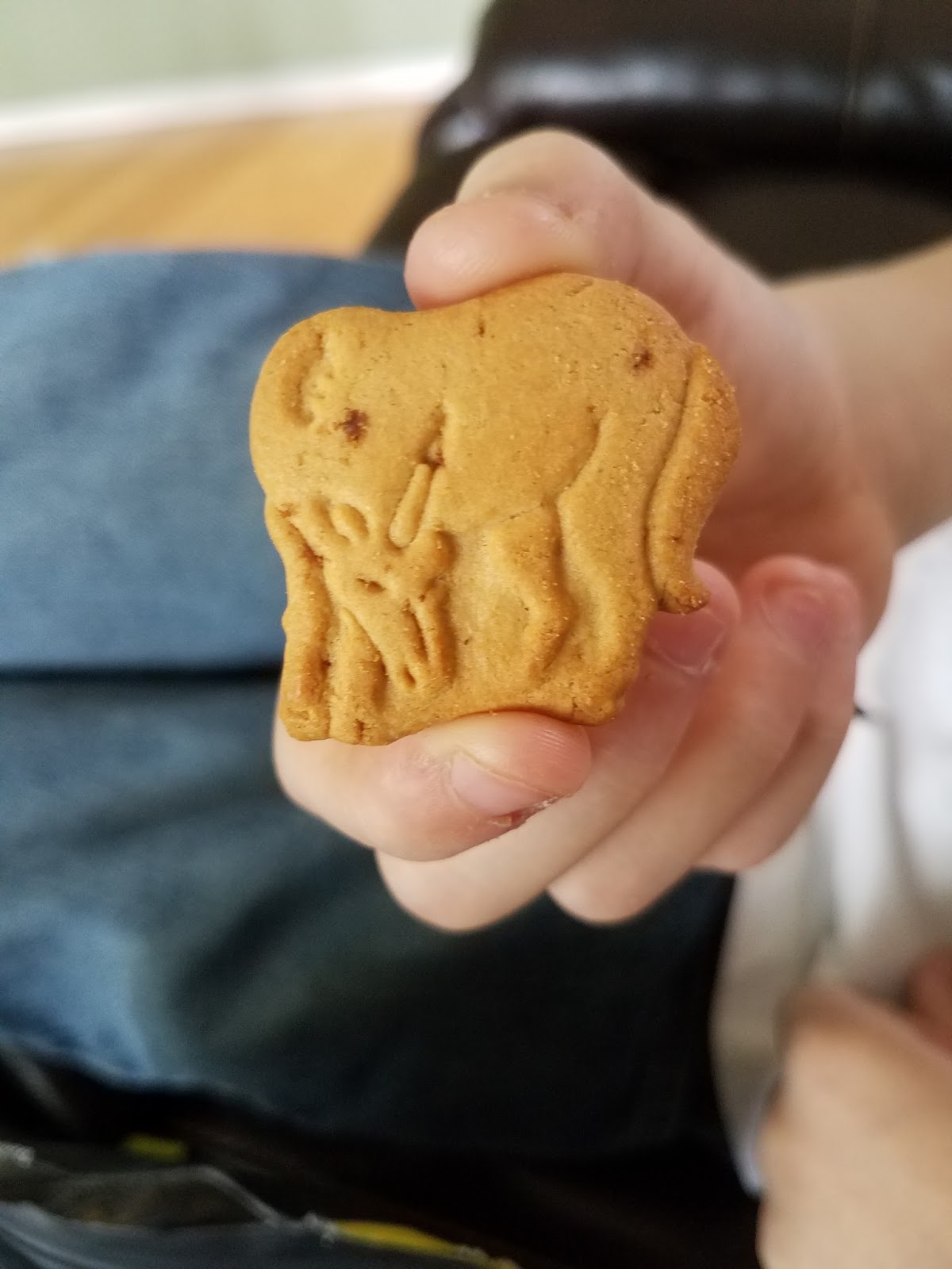 The ABCD Diaries: Good Zebra: Delicious and Healthy High Protein Spirit ...