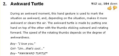 Happy Peeples: Awkward Turtle