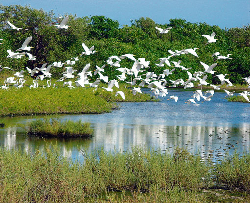 VEMOS Y ESCUCHAMOS: EN PARIS COLOMBIA PRESENTA UN LIBRO LLENO DE AGUA Y ...