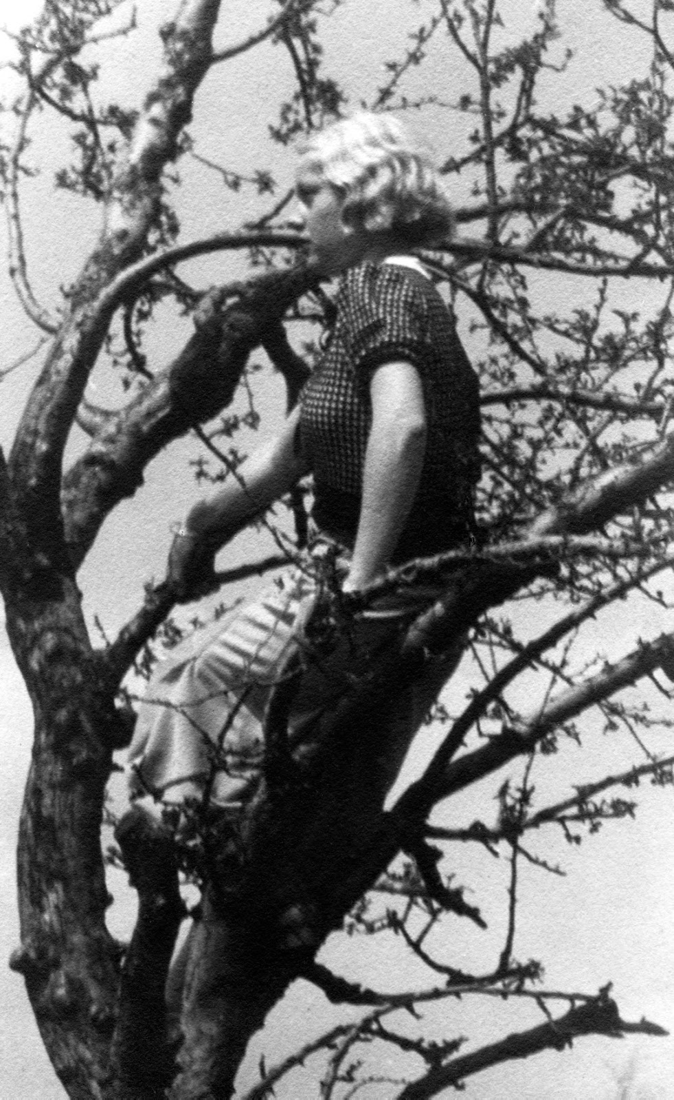 52 Vintage Snapshots Capture Young Women Jauntily Posing in Trees From ...