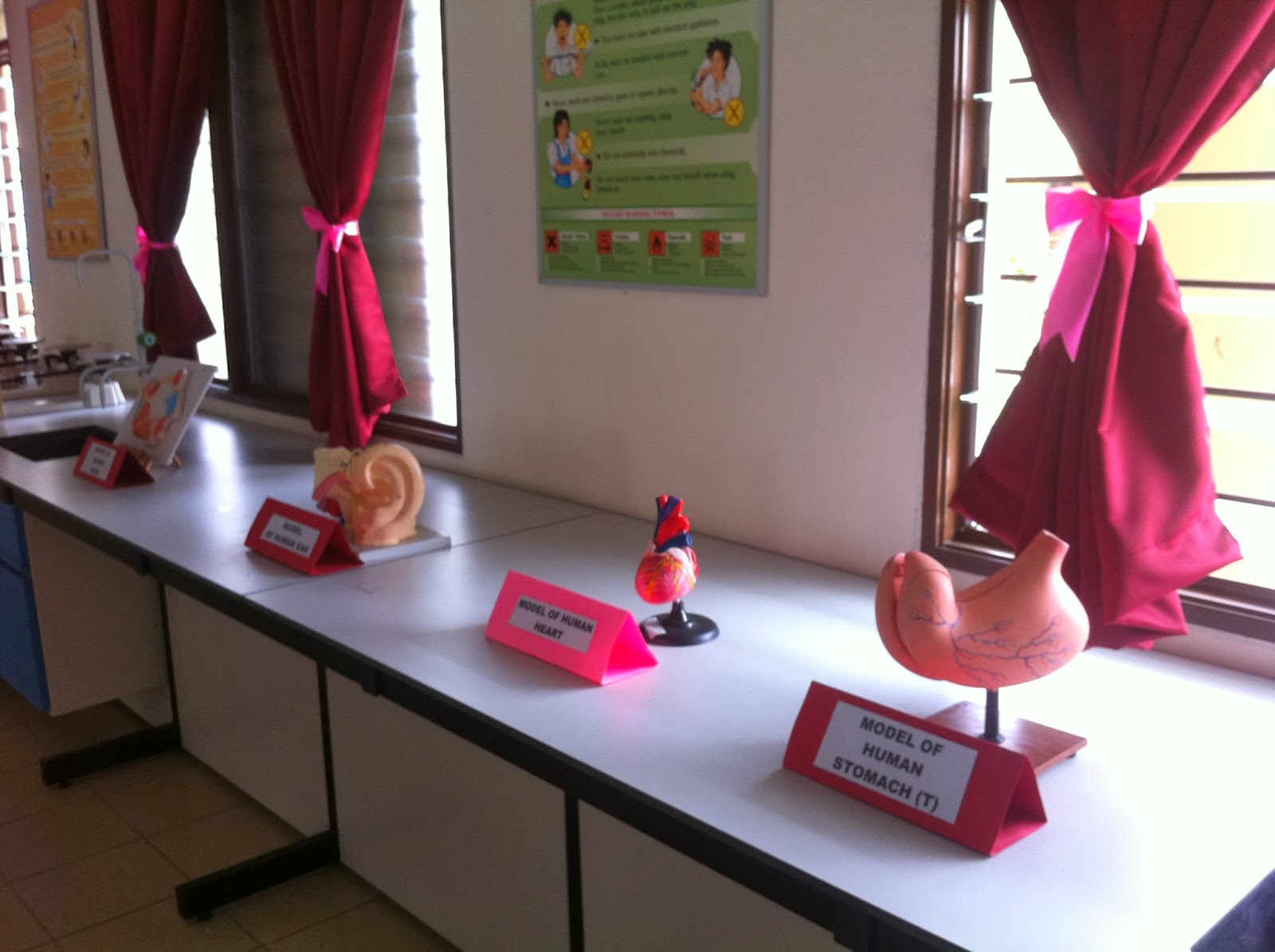 PANITIA SAINS SEMASHUR: Makmal Sains