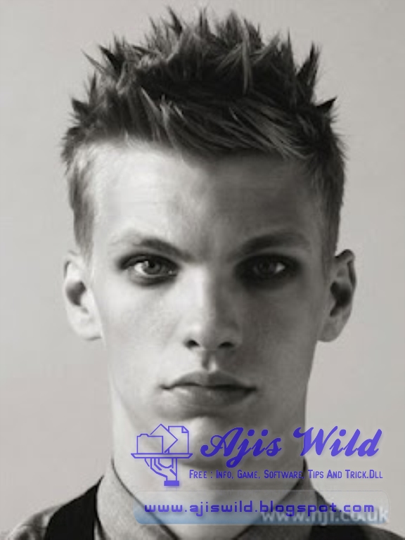 model rambut punk ~ pandu-mid