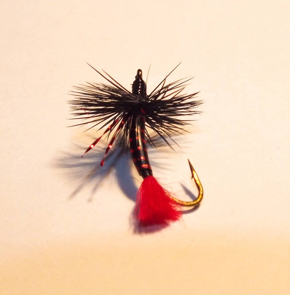 Pescuit cu musca artificiala: Taparina CLEAN