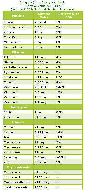 Pumpkin Nutrition Fact And Health Benefits You Must Know | signstarters