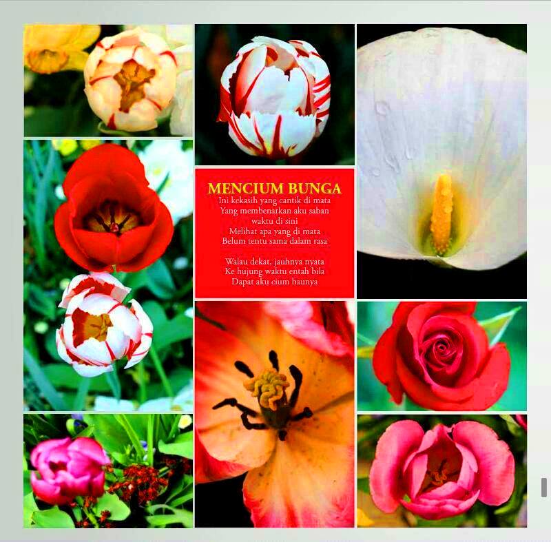 Sri Diah: Mencium Bunga