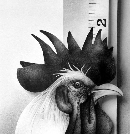 High Resolution Pictures, Nice Pictures, Best Scienaries, Different ...