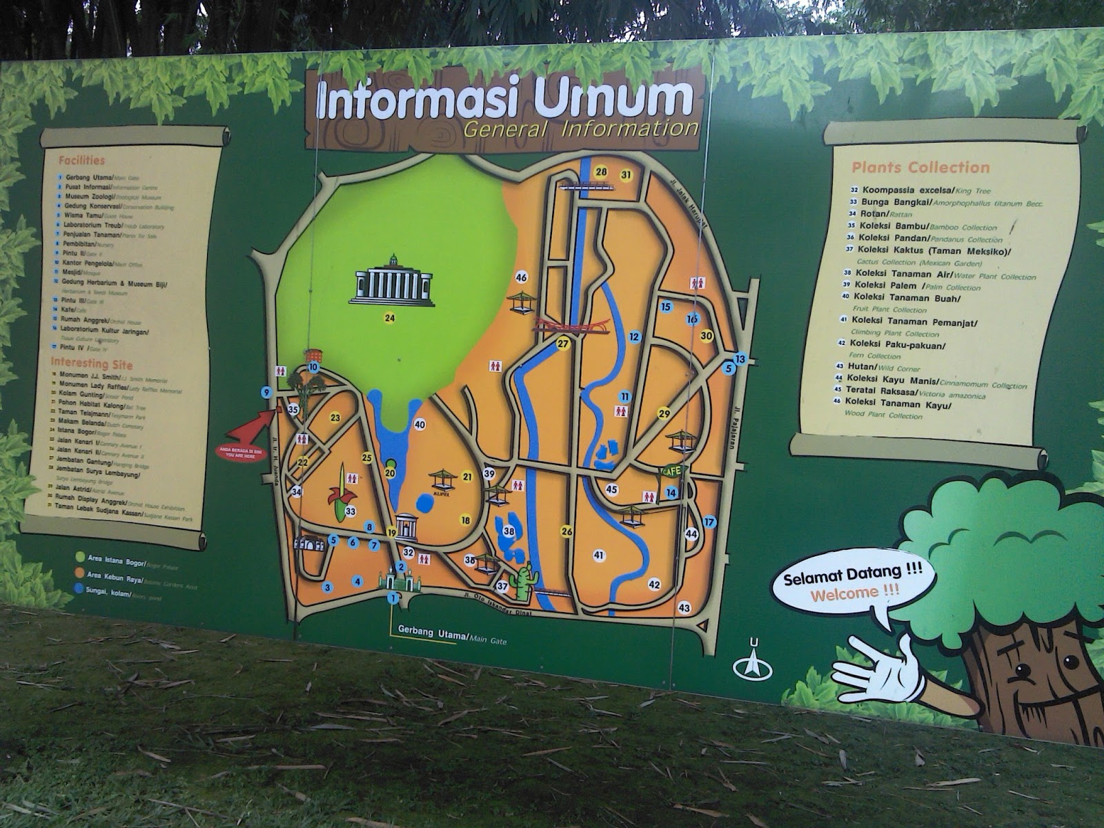 Kebun raya Bogor, Asyiknya Jalan-jalan | ernawatililys.com