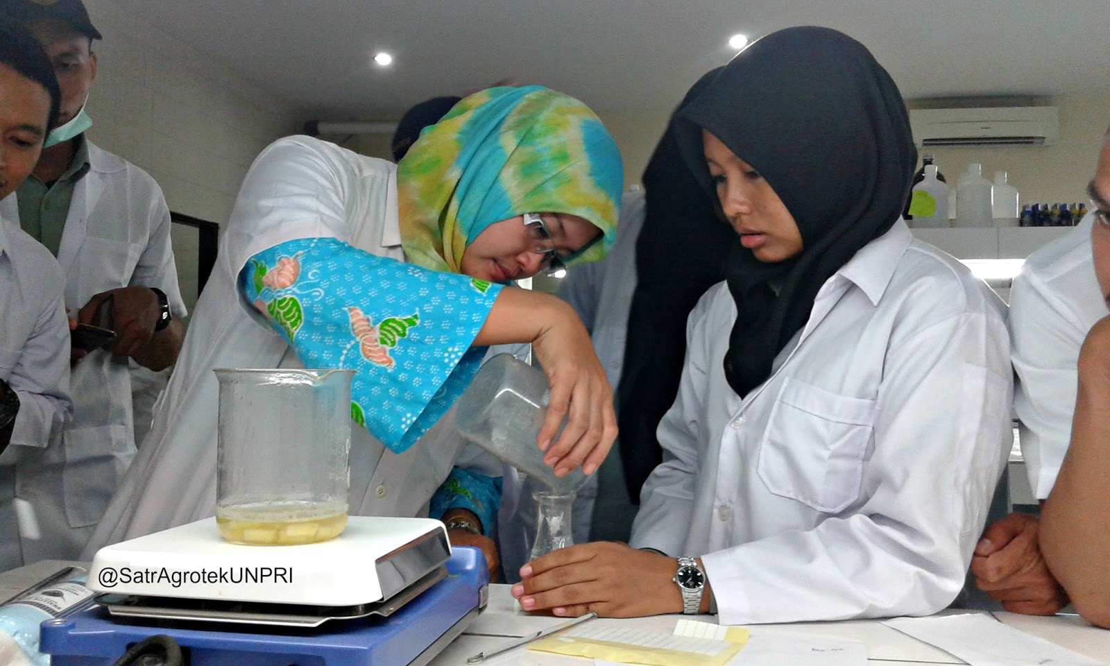 Pembuatan Berbagai Media Biakan Buatan Untuk Menumbuhkan Jamur ...