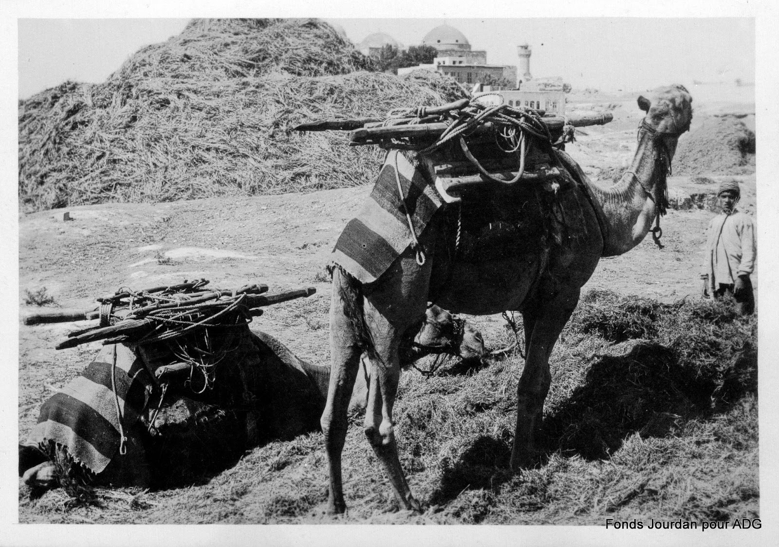 Années de guerre: Albert Jourdan du 506e RCC au 63e BCC en Syrie