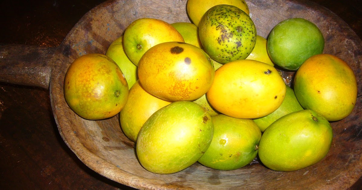 Nairinha - Comidas da minha terra, versos e trilhas: MANGA UBÁ E ...