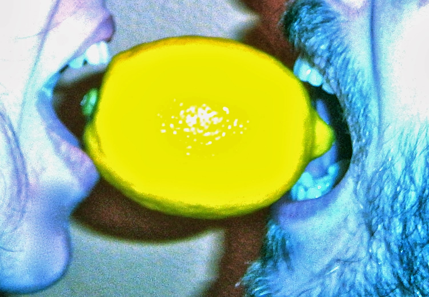 Health, Sport & Science: Lemon skin to prevent cáncer