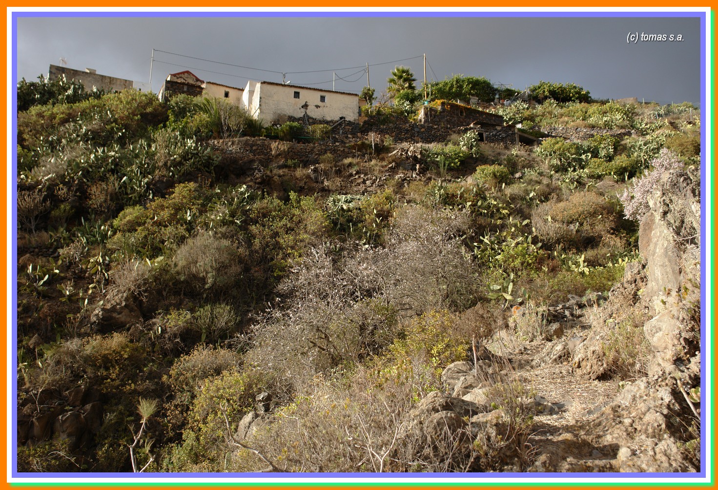 Tenerife senderos......: TENERIFE SENDEROS --GUIA ISORA-- EL JARAL -LAS ...