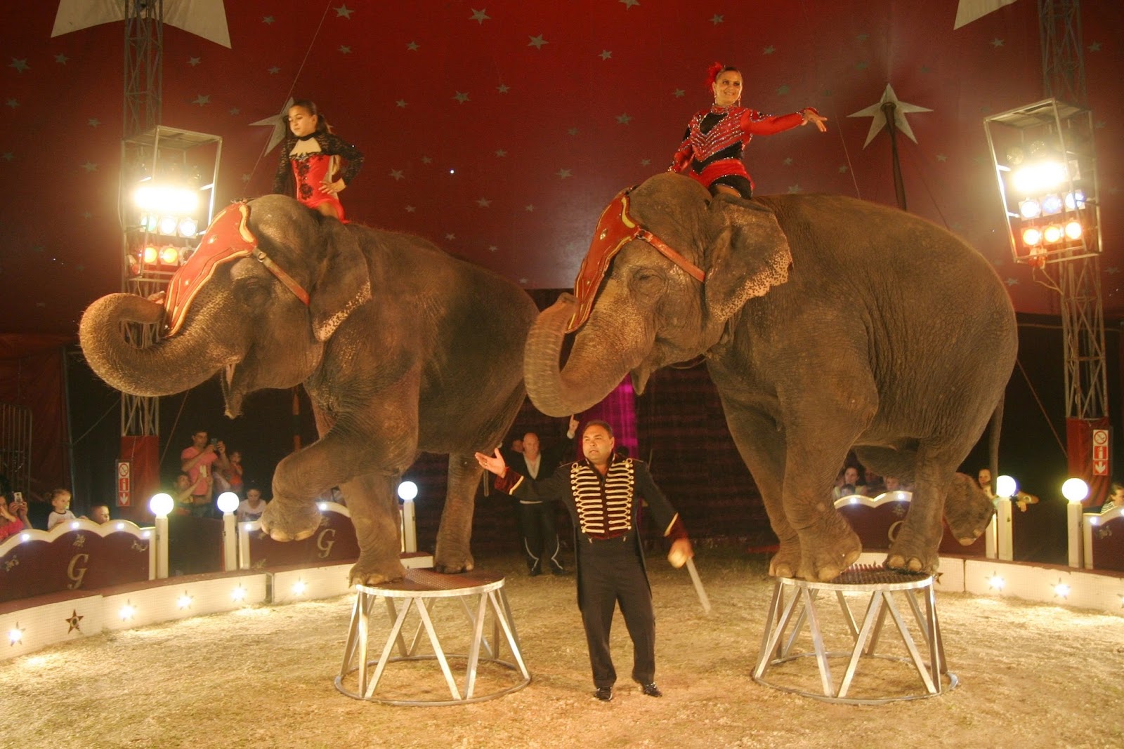 Circus News: CIRCUS GÄRTNER IN RUMÄNIEN