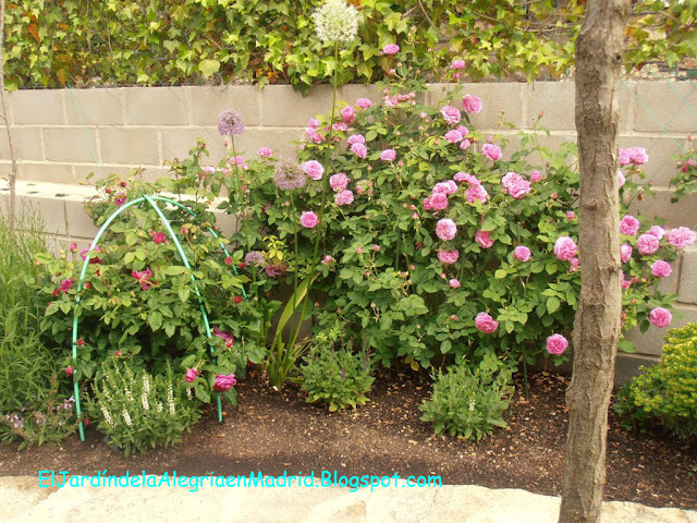 El jardín de la alegría : Calculadora de sombras y otros sistemas para ...