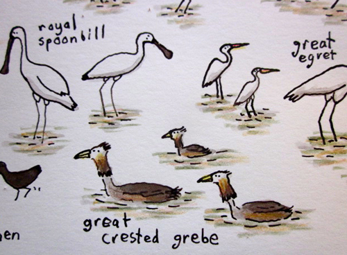 Brona's Books: Rivertime by Trace Balla