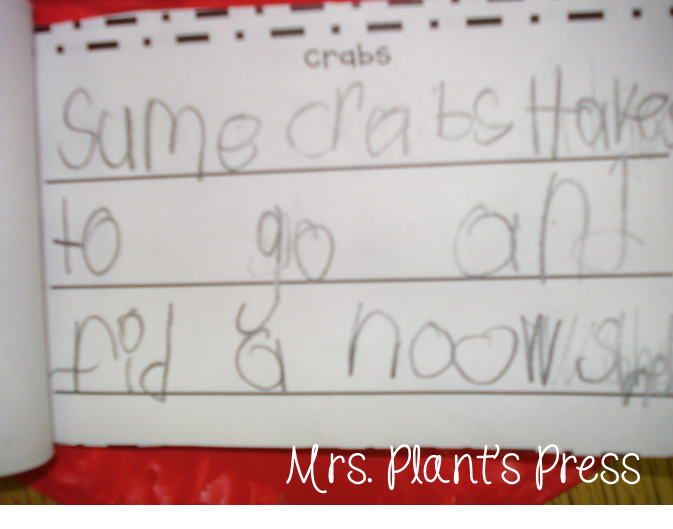 Ocean Fun! - Primary Press