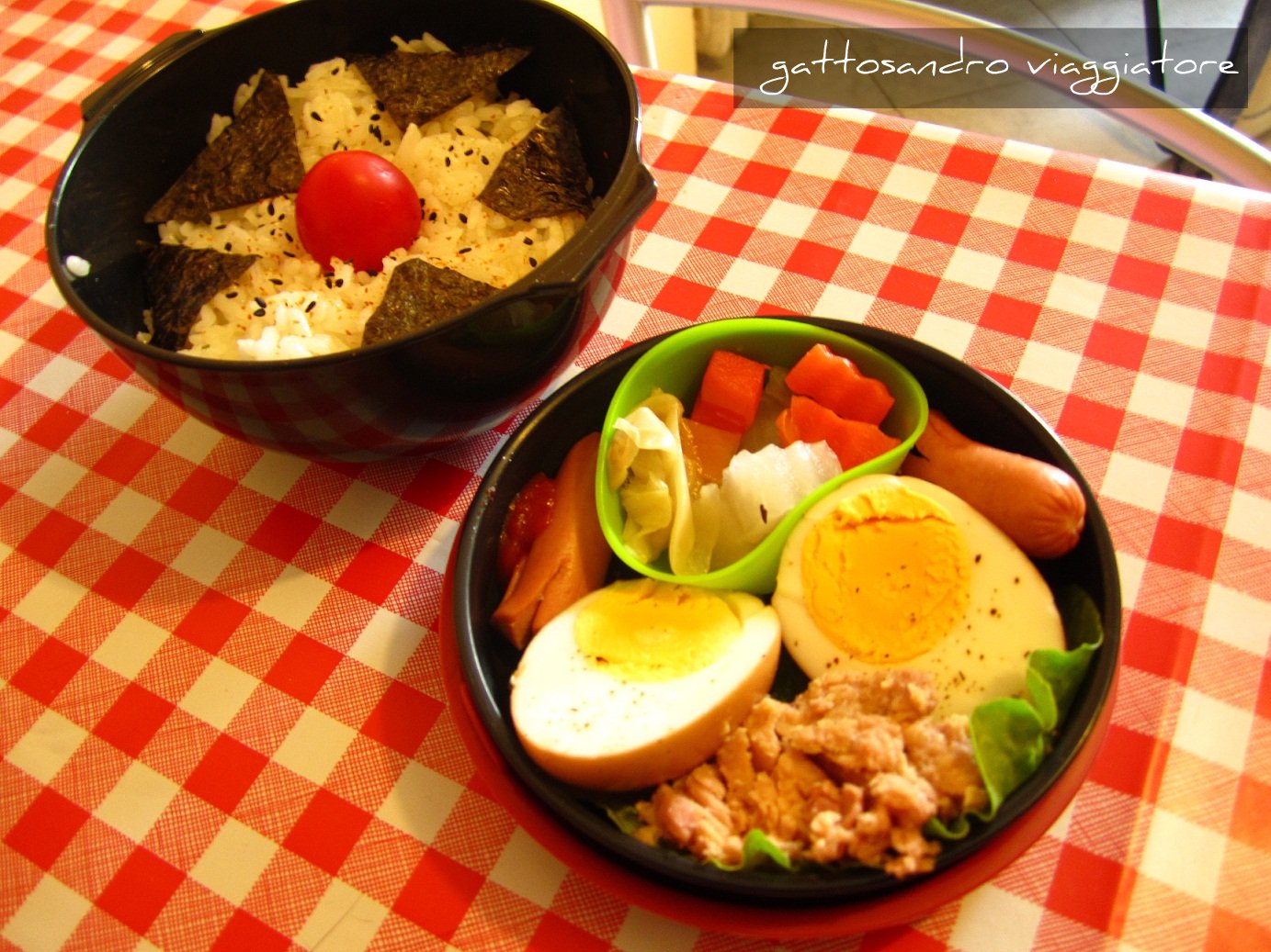 gattosandro viaggiatore - travel blog: Il mio bento 4° parte