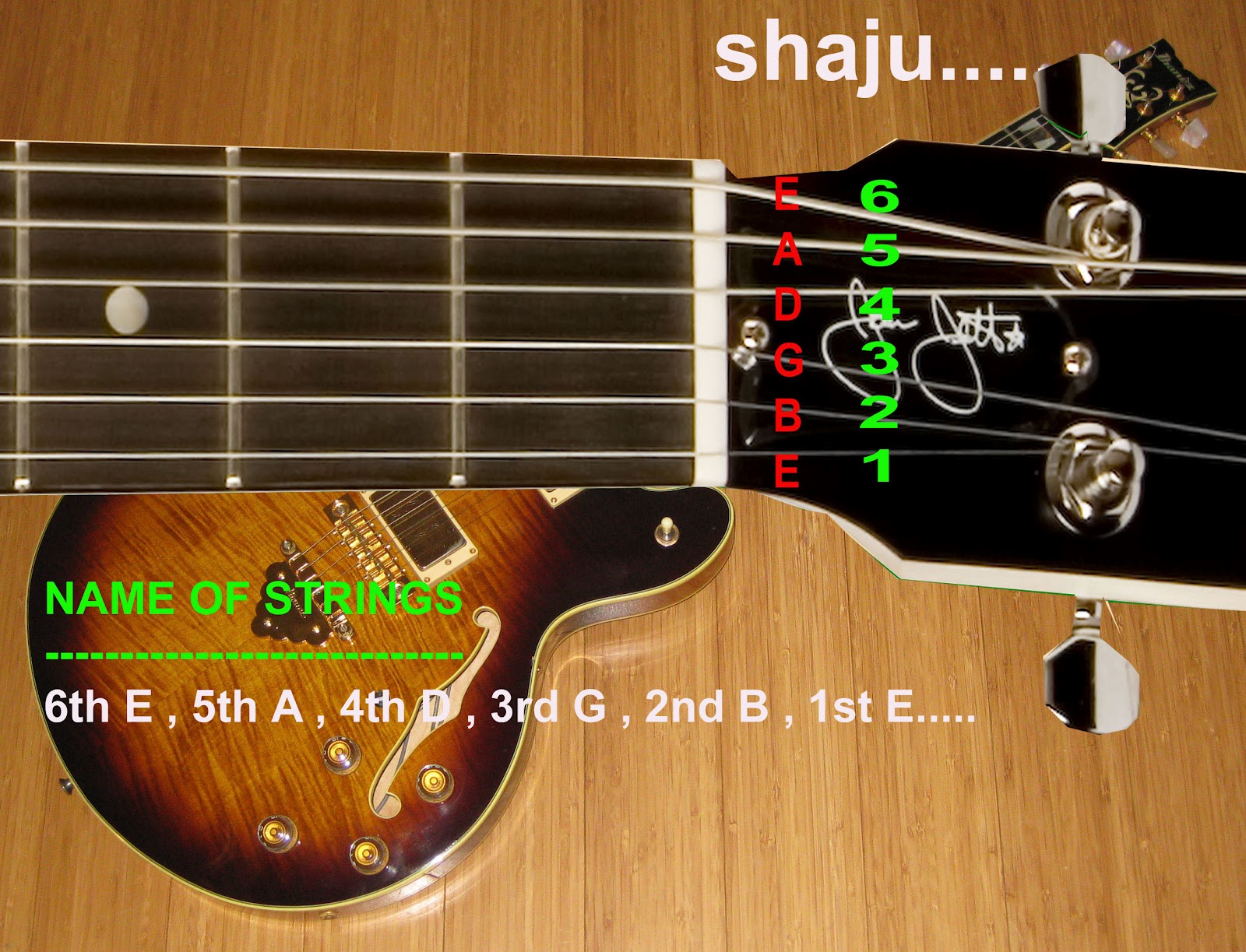 Shaju's Guitar Lessons: Name of the Open Strings