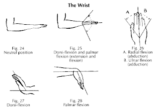Bear's ALC Page: Absolute Beginners: Handlebars and Control
