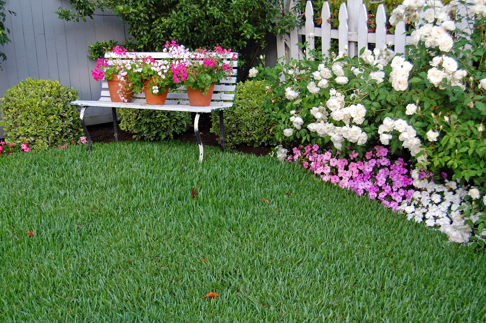 My Painted Garden: Easter Blessings