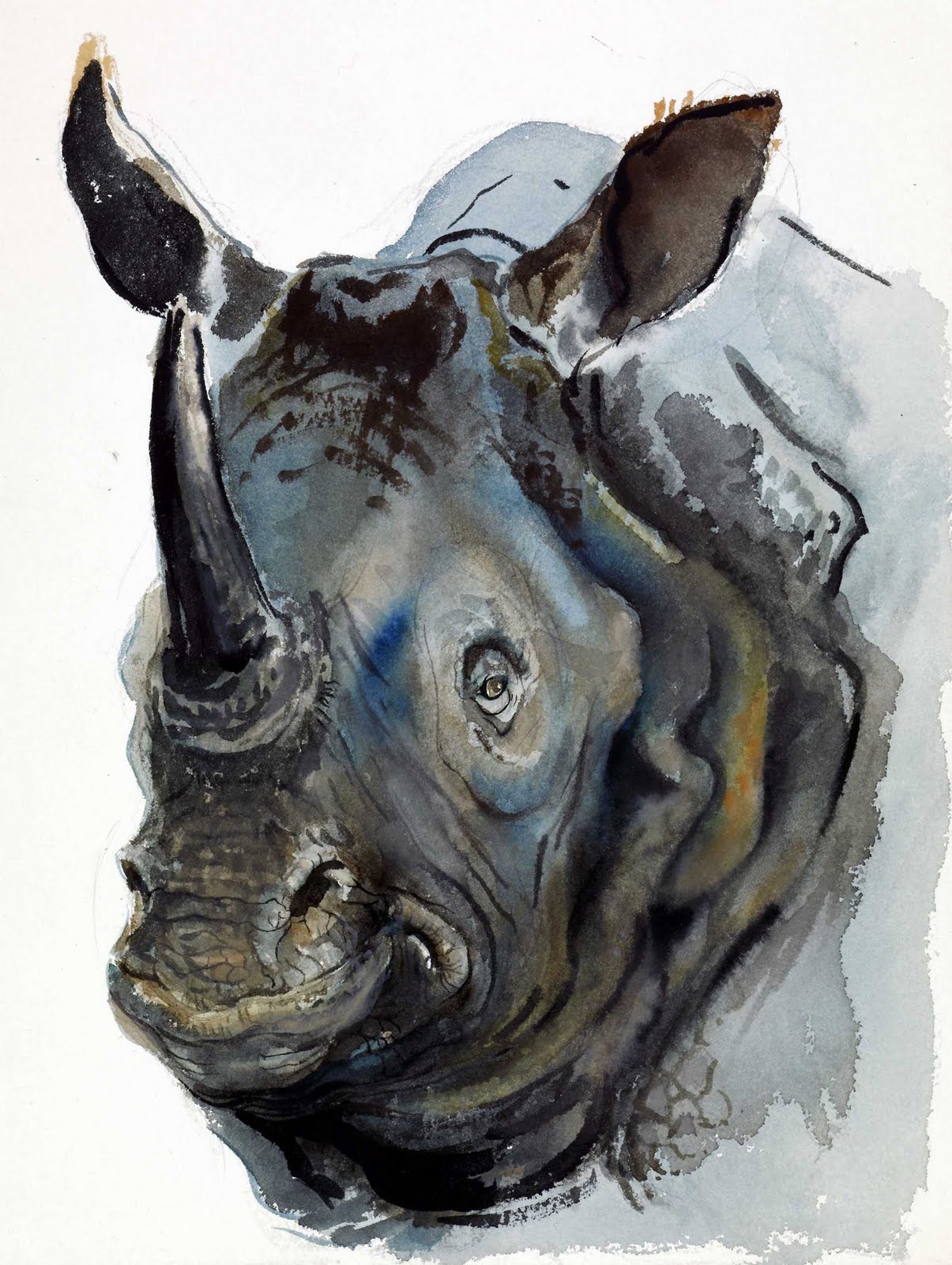 Keeping Your Head in (All) the Game(s): Rhinoceros